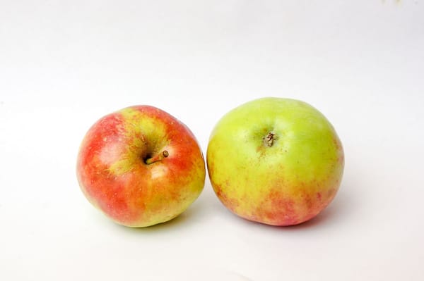 Ugye, maguk nem jehovisták?